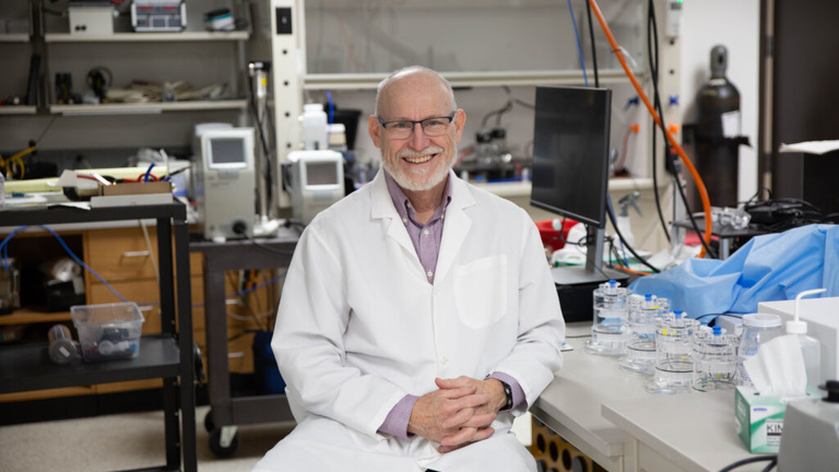 Human Toxicology | The University of Iowa